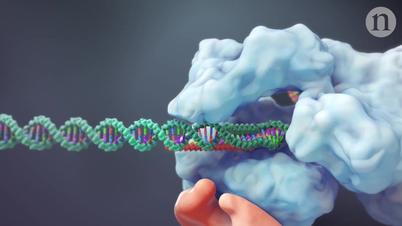 Nature Video: CRISPR: Gene editing and beyond - YouTube搬运 - 英文字幕_哔哩哔哩 (゜-゜)つロ 干杯~-bilibili