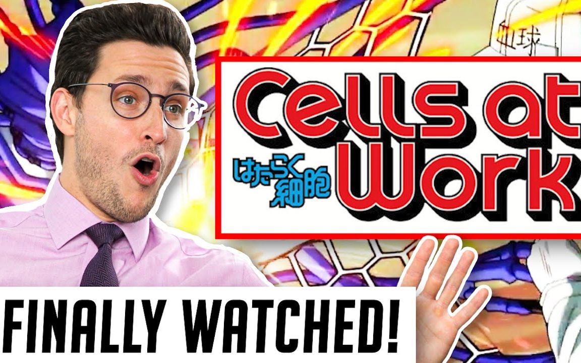 【双语字幕】Doctor Mike Reacts to Cells at Work：真正的医生看《工作细胞》~_哔哩哔哩_bilibili