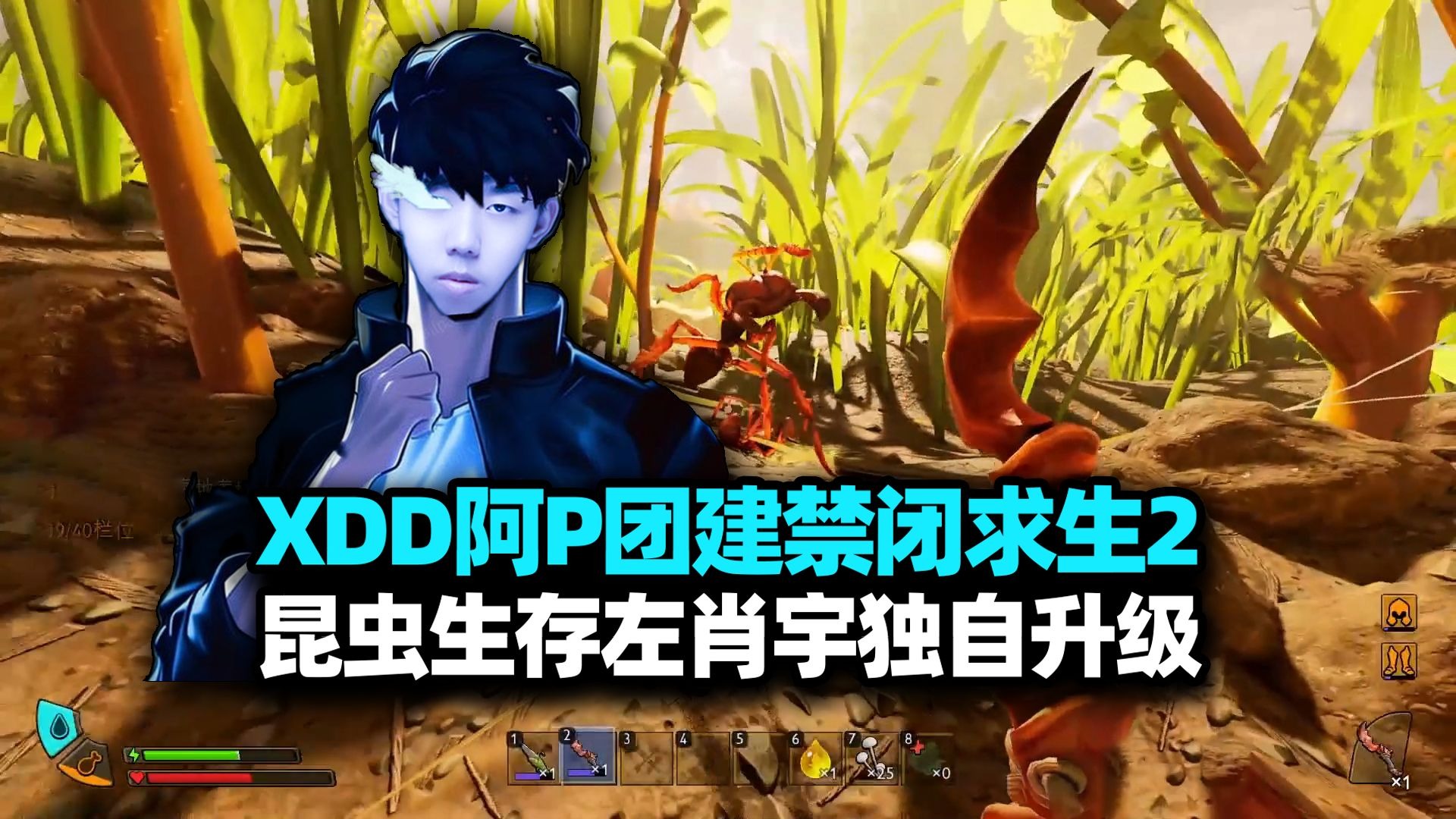 昆虫生存 XDD开荒禁闭求生2！左肖宇独自升级大战蚂蚁燃尽了 阿P喝水水航2神人组宝宝历练 没他这个家都得散！-小叮当频道-小叮当频道-哔哩哔哩视频
