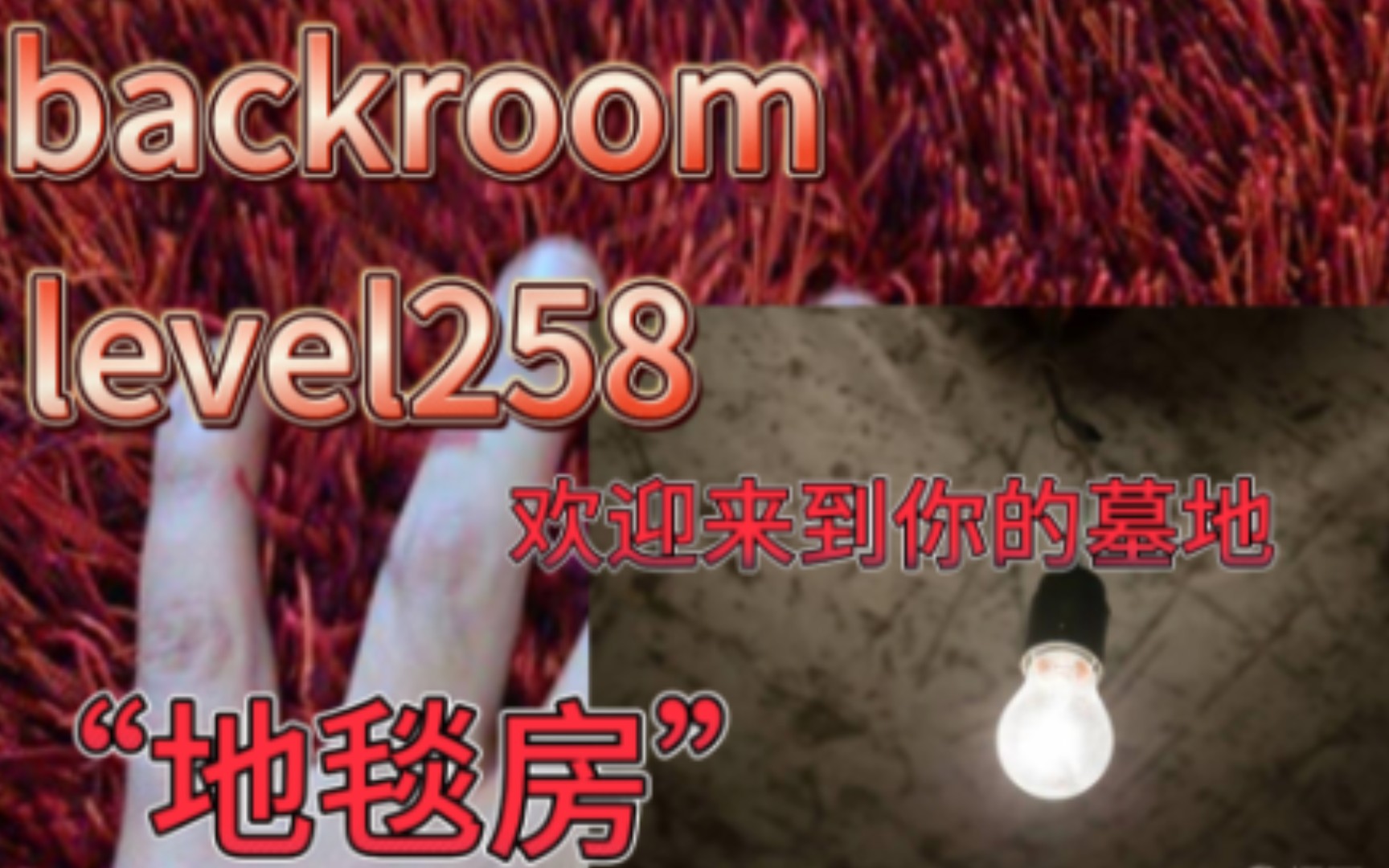 【backroom】level258-地毯房。最折磨人类的一层，希望你能给自己一个痛快-后室探险家-后室探险家-哔哩哔哩视频