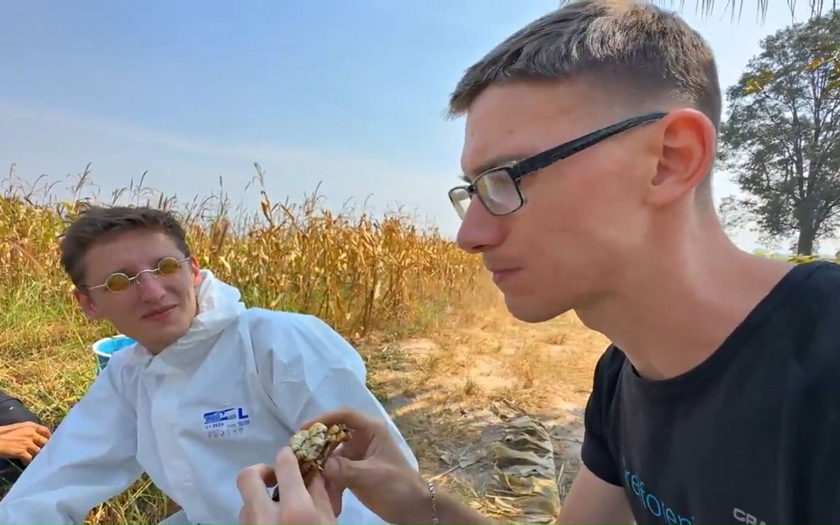 蜜蜂：这辈子没这么无语过！ 战斗民族徒手掏蜂窝-KREOSAN破坏王-KREOSAN破坏王-哔哩哔哩视频