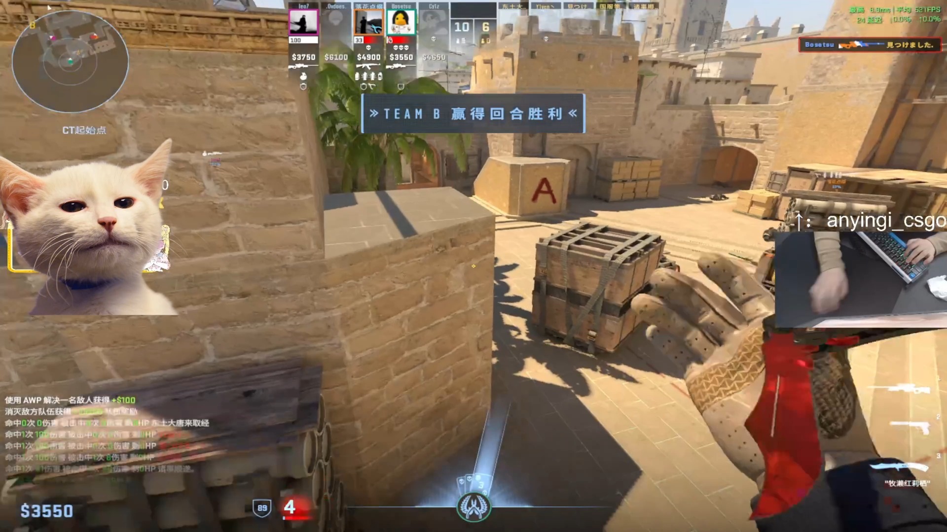 请叫我 ：狙击大王-Anyingi_Csgo-Anyingi_Csgo-哔哩哔哩视频