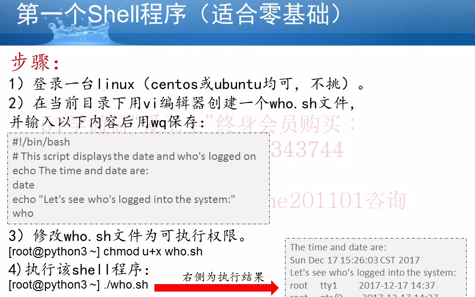你的第一个Linux Shell程序Hello World_哔哩哔哩_bilibili
