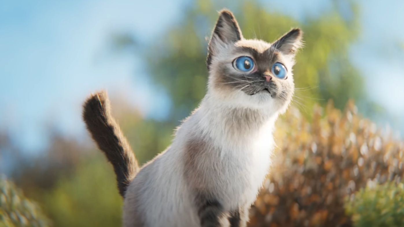 猫猫的理想家园是什么样？3D短片《SWEET HOME》-Renderbus瑞云渲染-Renderbus瑞云渲染-哔哩哔哩视频