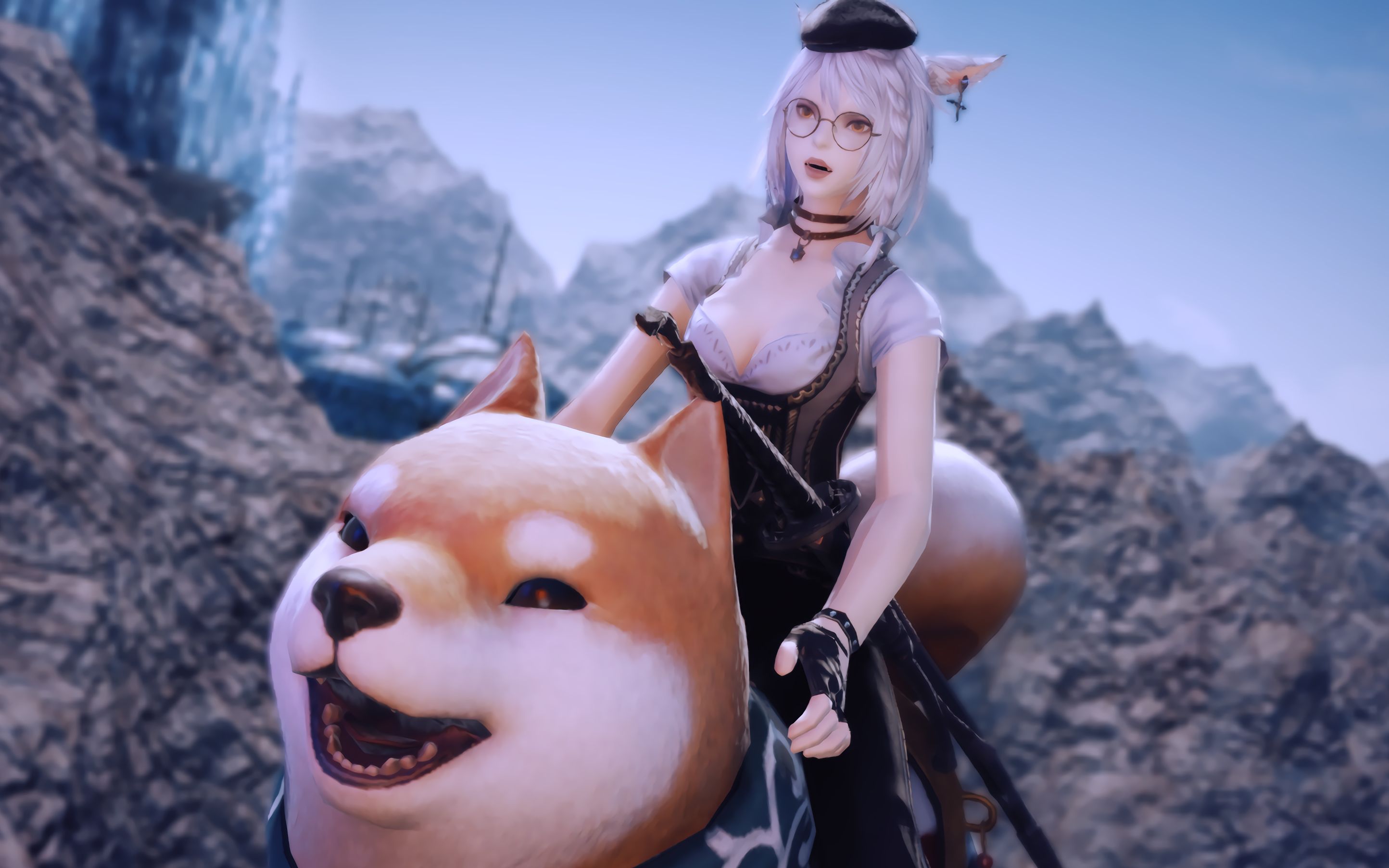 【FF14】大大柴联军！_网络游戏热门视频