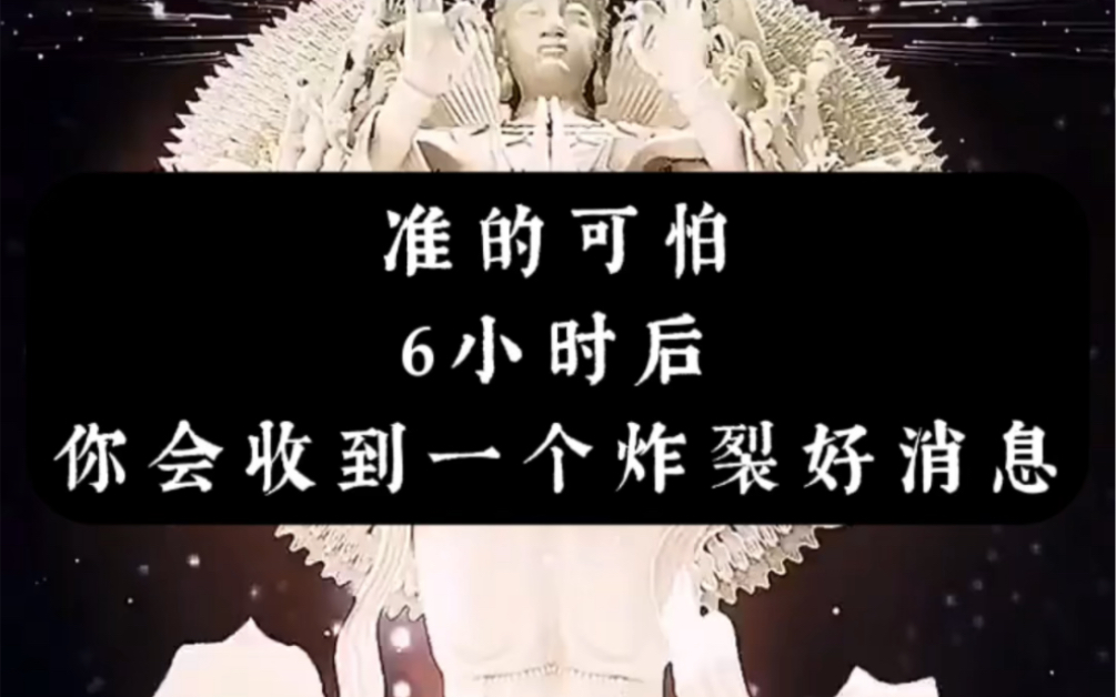 ⚡季伯常啊，你的命不长咯！⚡ 松鼠 Max 默认收藏夹 哔哩哔哩视频