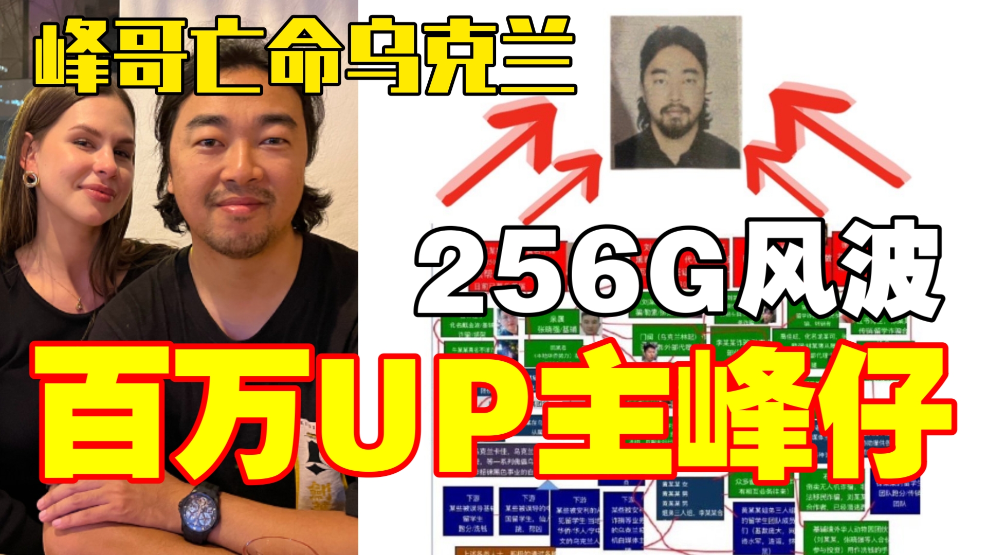 峰哥锐评百万UP主峰仔256G视频风波：万众瞩目！这是个好事啊！！-小阿峰世间万物-小阿峰世间万物-哔哩哔哩视频