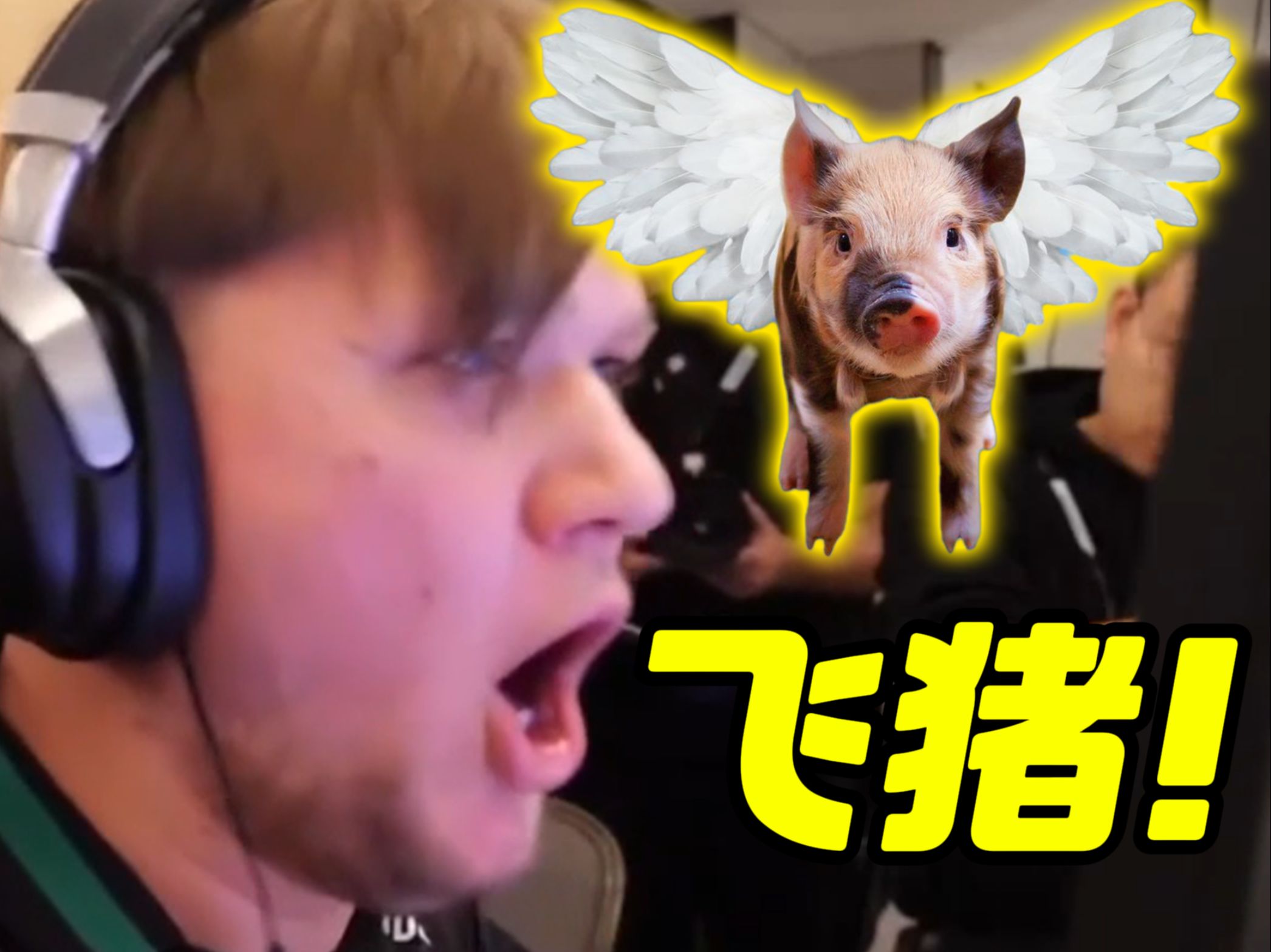 飞猪来袭！倒霉蛋S1mple直面大雷飞天拿下1v2残局！Falcons拿下首胜！-AYCS2-AYCS2-哔哩哔哩视频