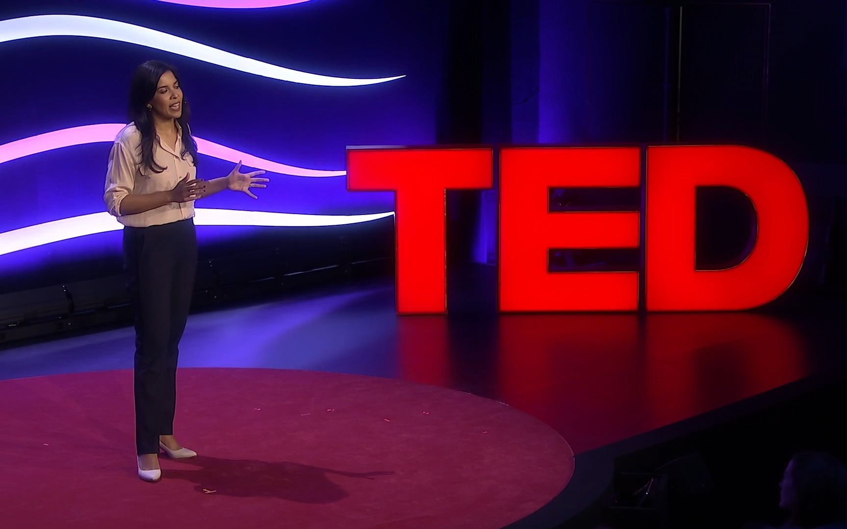 我们该如何逃脱飙升的能源账单？【TED演讲】-TED官方-TED官方-哔哩哔哩视频