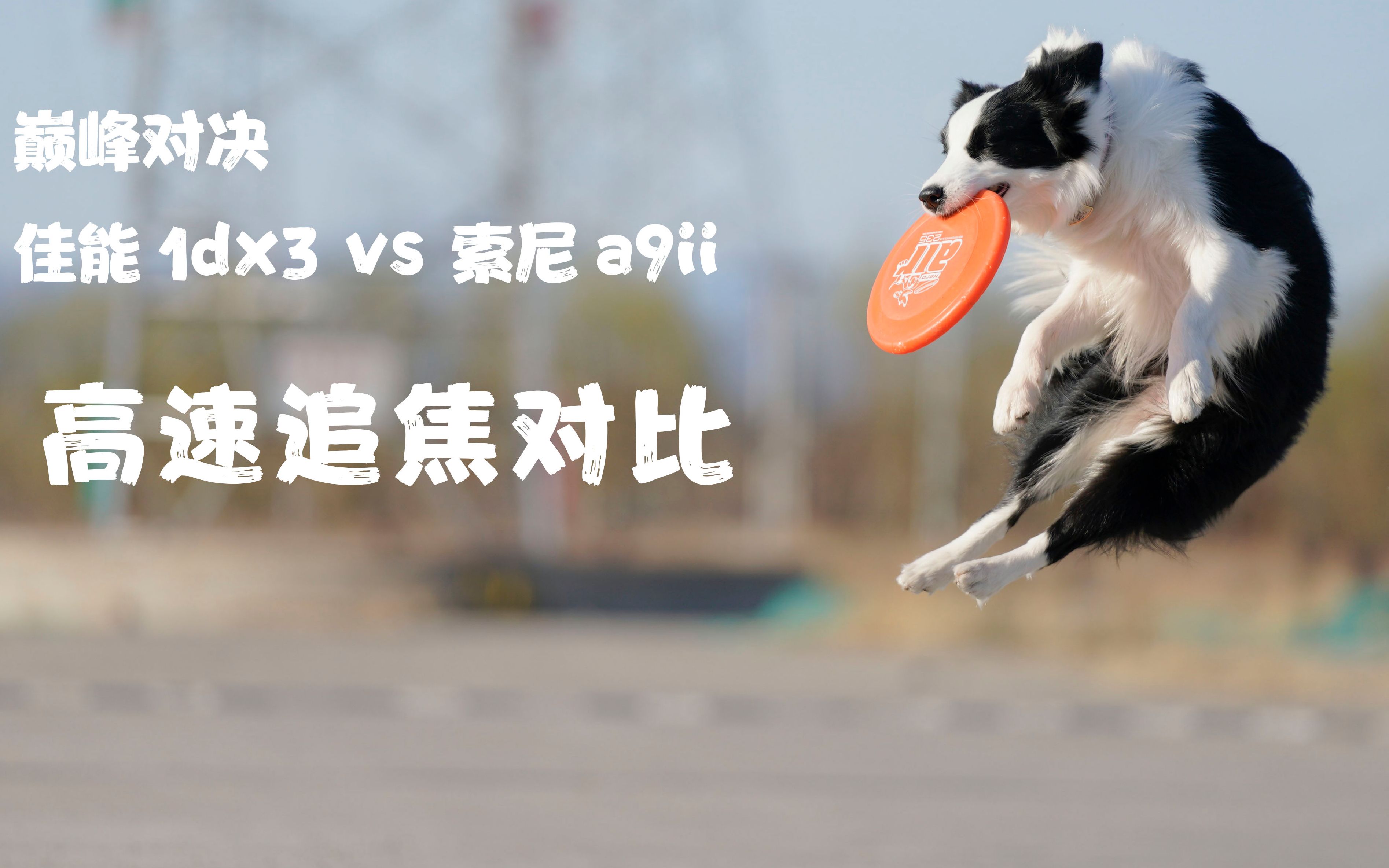 佳能1dx3 vs 索尼a9ii 高速追焦对比_哔哩哔哩_bilibili