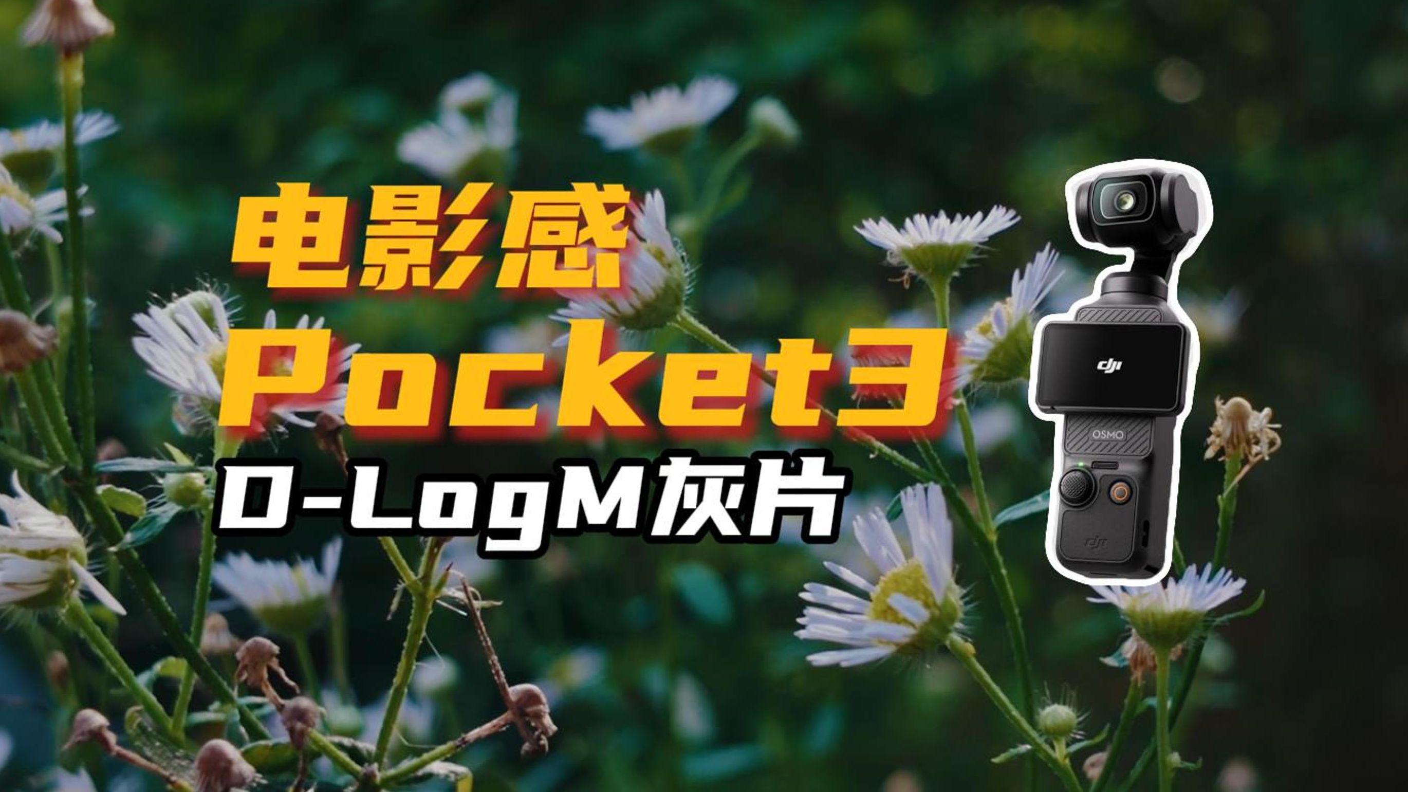「资源」一分钟教你：调出大疆Pocket3电影感色彩｜ 大疆Pocket3 ｜ Dlog灰片 ｜ Phantom Lut Pocket3-大帅哥无敌死-pocket3-哔哩哔哩视频