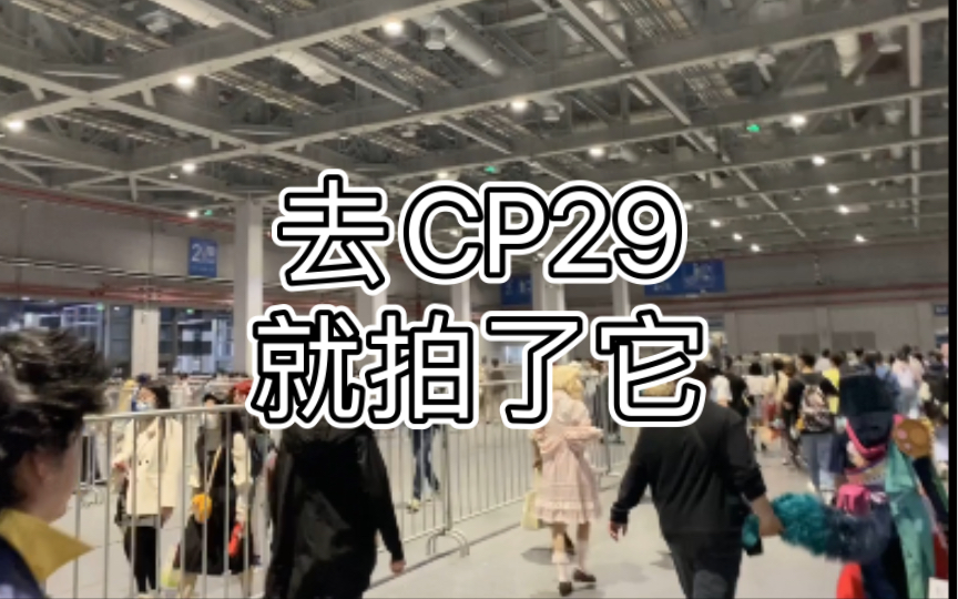 致所有参加CP29的同志们