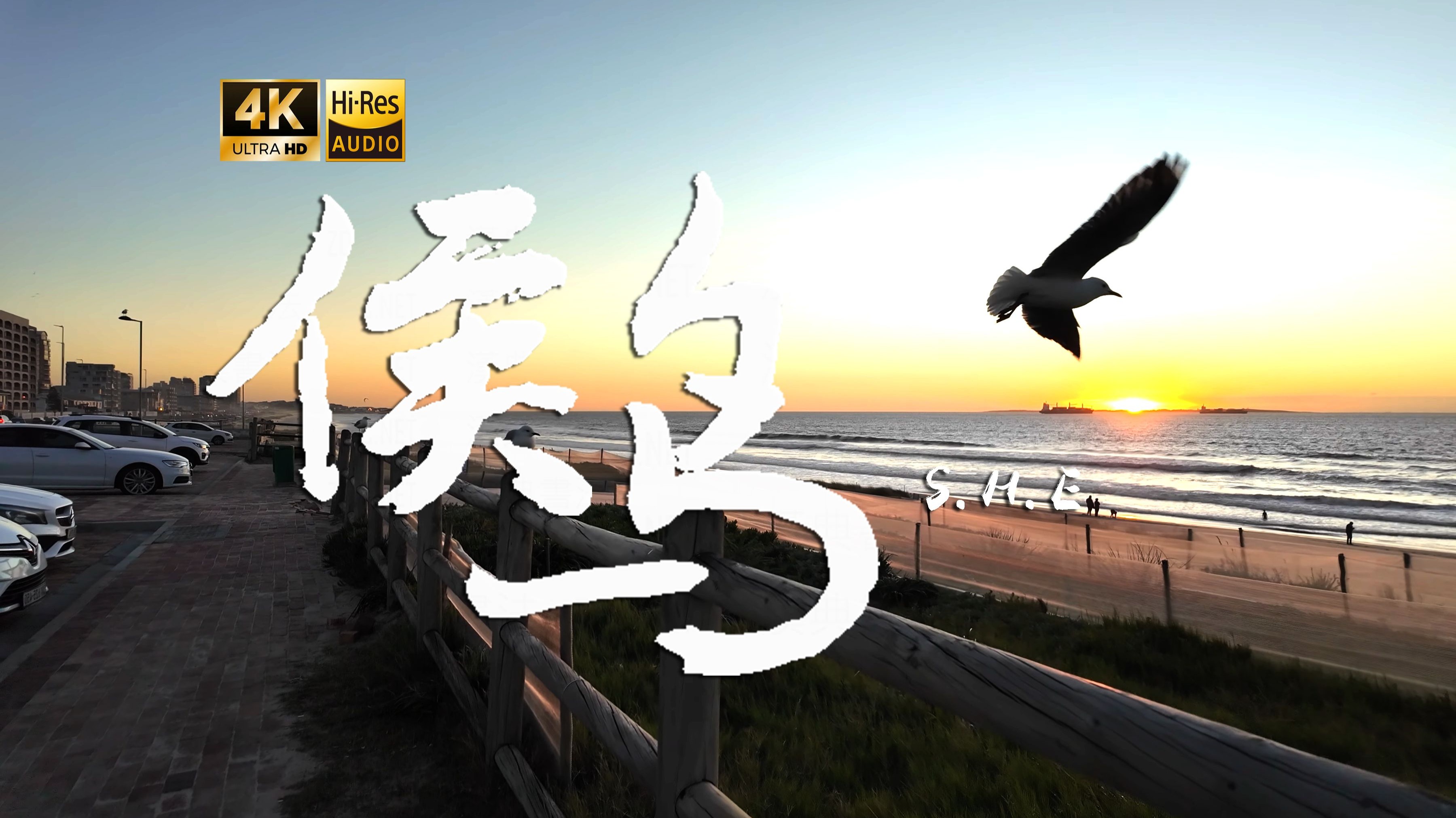 【4K Hi-Res】候鸟_S.H.E 站在南方的冬天 我的心却无法事过境迁-你去巴黎我在北京-你去巴黎我在北京-哔哩哔哩视频