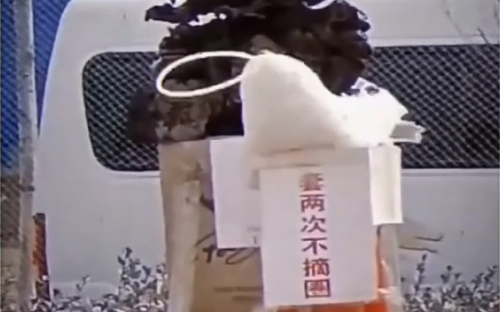 “切,你好年轻呦”-起个破昵称这么麻烦操-背景音乐-哔哩哔哩视频