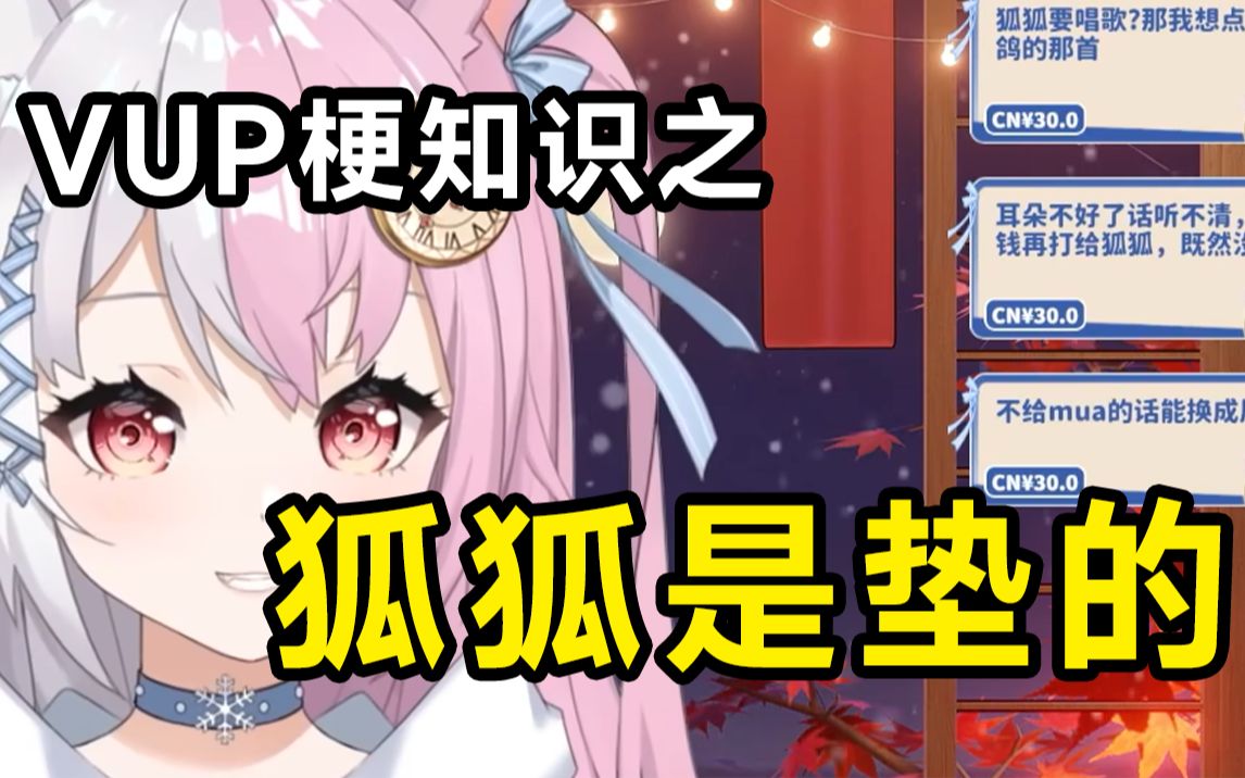 VUP梗知识之：狐狐是垫的-V观社-V观社-哔哩哔哩视频