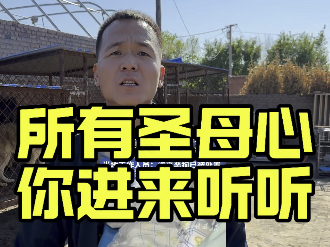 【潘宏爱玩狗】最新视频已上线,快来围观! 潘宏爱玩狗 潘宏爱玩狗 哔哩哔哩视频