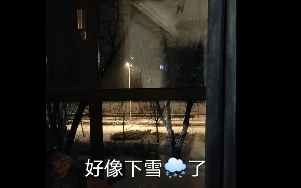 南方人在北方过冬的幸福 哔哩哔哩 Bilibili