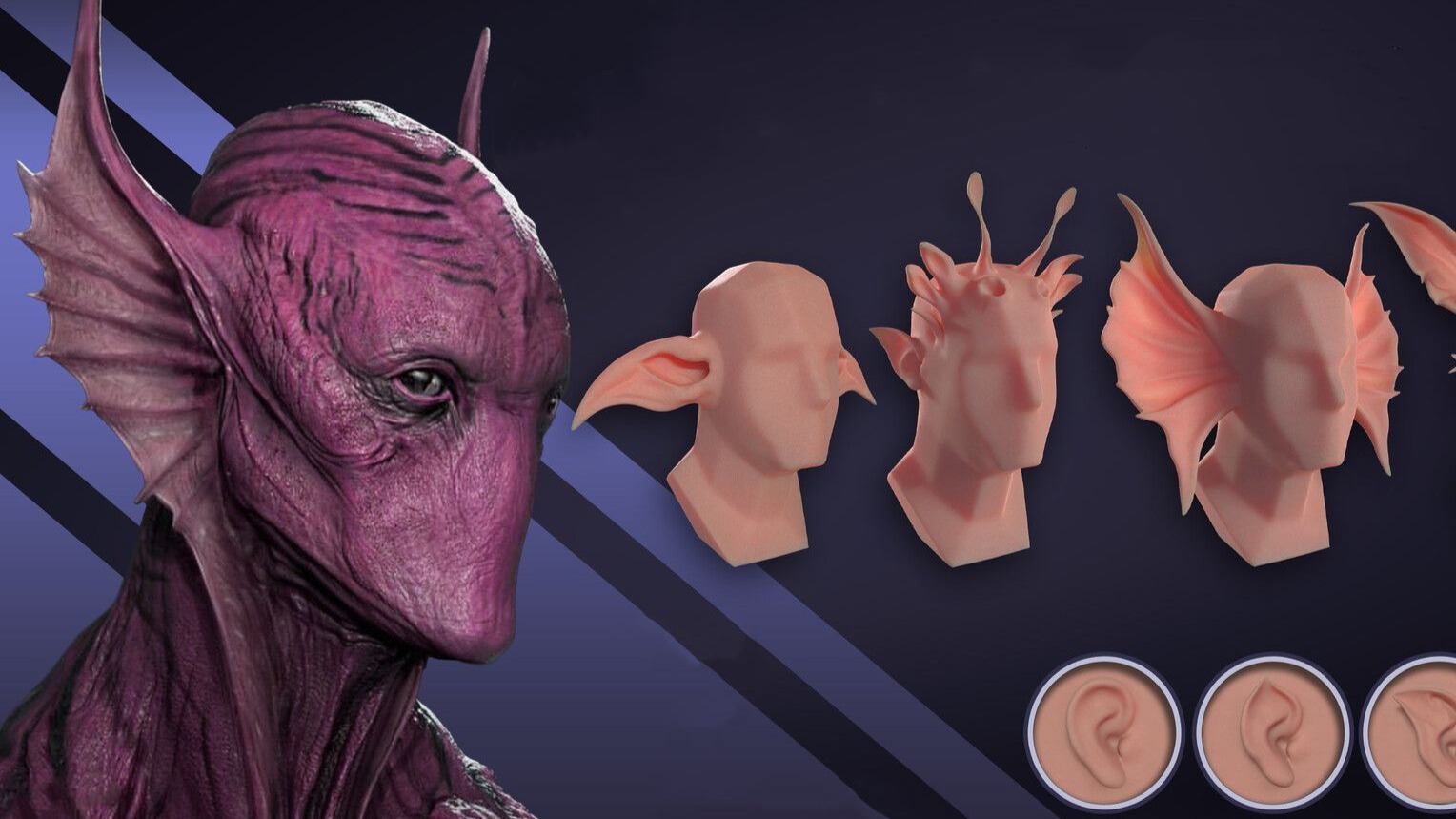 耳朵ZBrush笔刷！40款ZBrush猪狼生物精灵耳朵动物耳部VDM笔刷，非常实用-蝶科技-蝶科技-哔哩哔哩视频