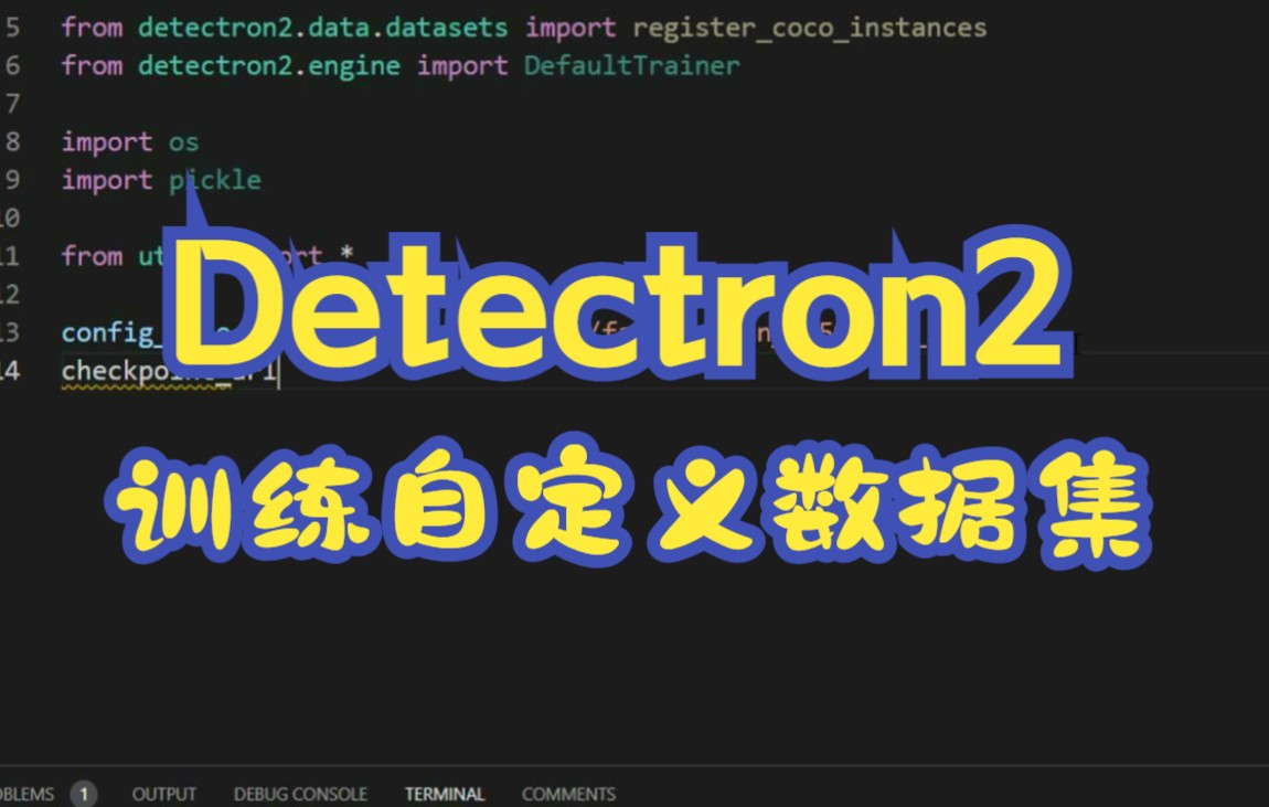 Detectron2—自定义数据集进行训练_哔哩哔哩_bilibili