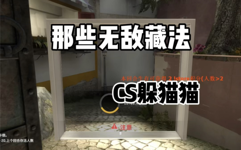 CSGO躲猫猫：那些无敌藏点-禹辰OvO-禹辰OvO-哔哩哔哩视频