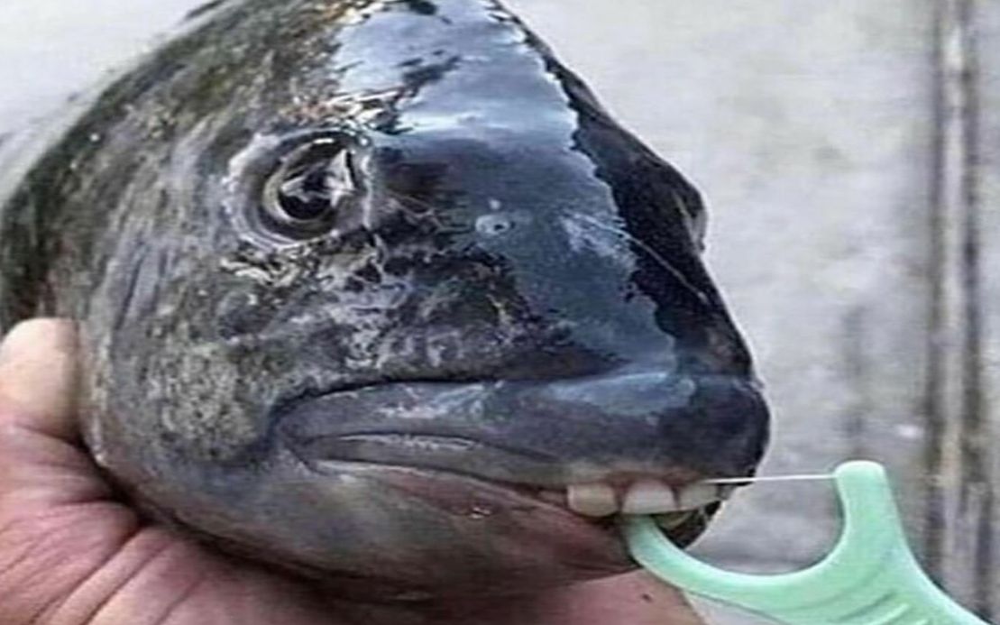 如果你笑了，你喝凉水都会塞牙🚰🦷😁 壹叁伍解药 壹叁伍解药 哔哩哔哩视频
