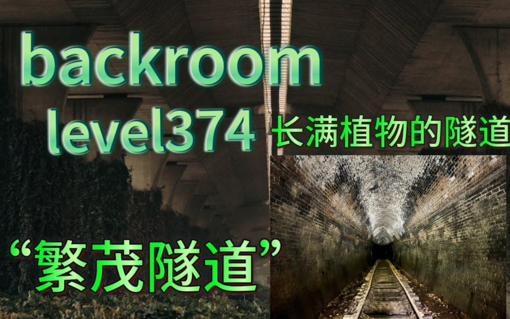 【backroom】level374-“繁茂隧道”他早已不属于人类，只是一个傀儡罢了-后室探险家-后室探险家-哔哩哔哩视频