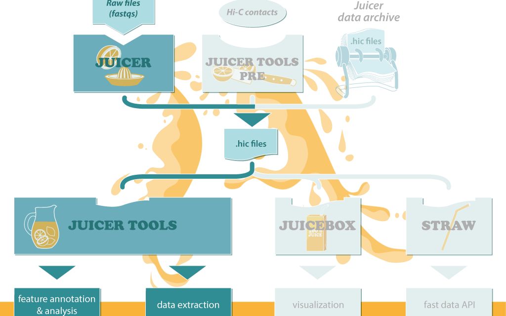 Juicebox Assembly Tools视频教程_哔哩哔哩_bilibili