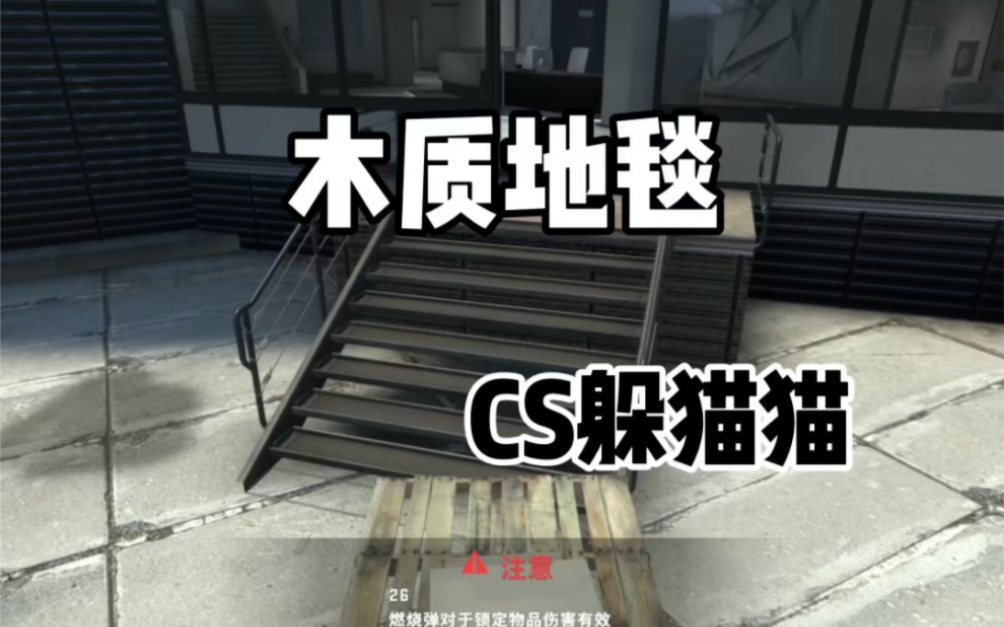 CSGO躲猫猫：木质地毯-禹辰OvO-禹辰OvO-哔哩哔哩视频