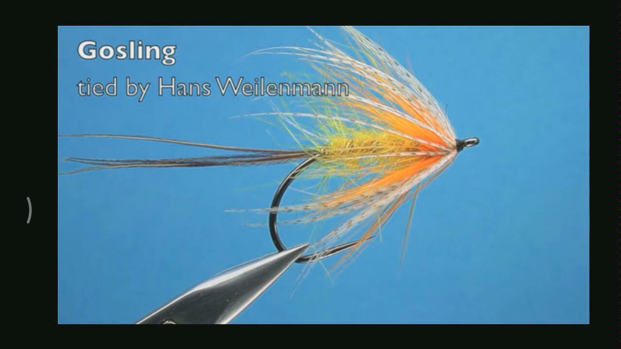 Gosling - tied by Hans Weilenmann_哔哩哔哩_bilibili