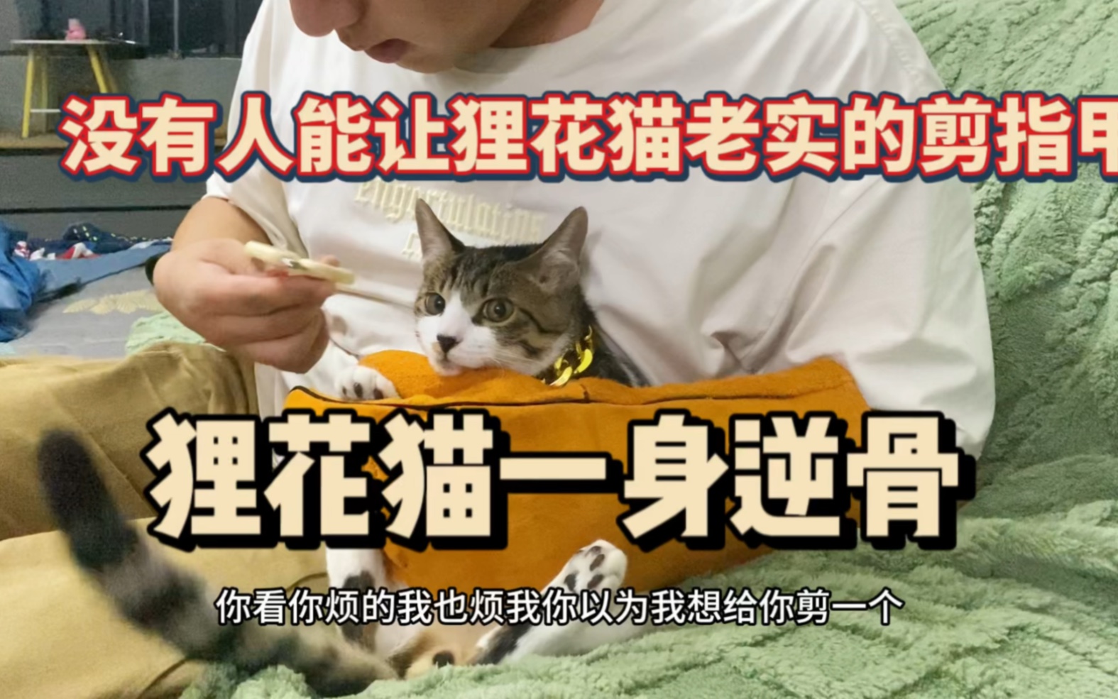 从小一把屎一把尿喂大的孩、长大后竟然这样对我这个孤寡老人 香炉香灰是赠送的 香炉香灰是赠送的 哔哩哔哩视频