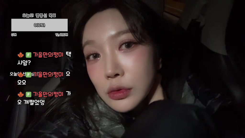 fall0715 韩国BJ AfreecaTv2024-12-06-AF录播姬-AF录播姬-哔哩哔哩视频