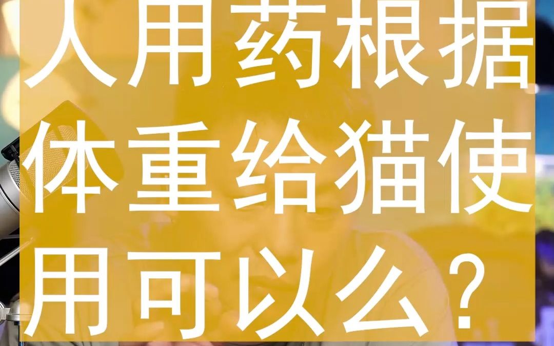 人用药可以给猫按体重换算使用吗？ 梅林布偶猫舍 梅林布偶猫舍 哔哩哔哩视频