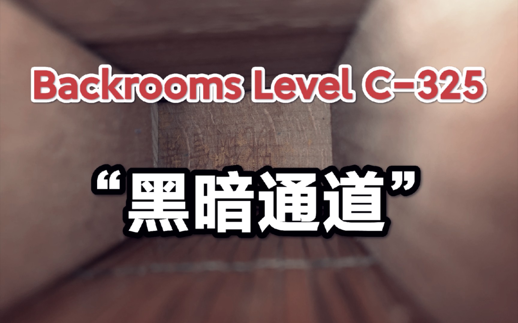 【Backrooms】后室 Level C-325-“黑暗通道”-季夏廿玖-季夏廿玖-哔哩哔哩视频