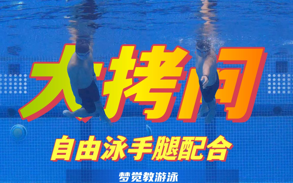 【游泳问答】自由泳手腿配合大拷问!你能答上来几个? 梦觉教游泳 梦觉教游泳 哔哩哔哩视频