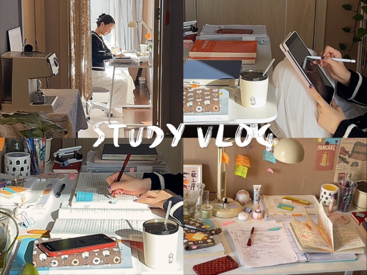 STUDY VLOG｜假期纯动力学习·沉浸式刷题·高浓度学习·studywithme-考拉ccccc-考拉ccccc-哔哩哔哩视频