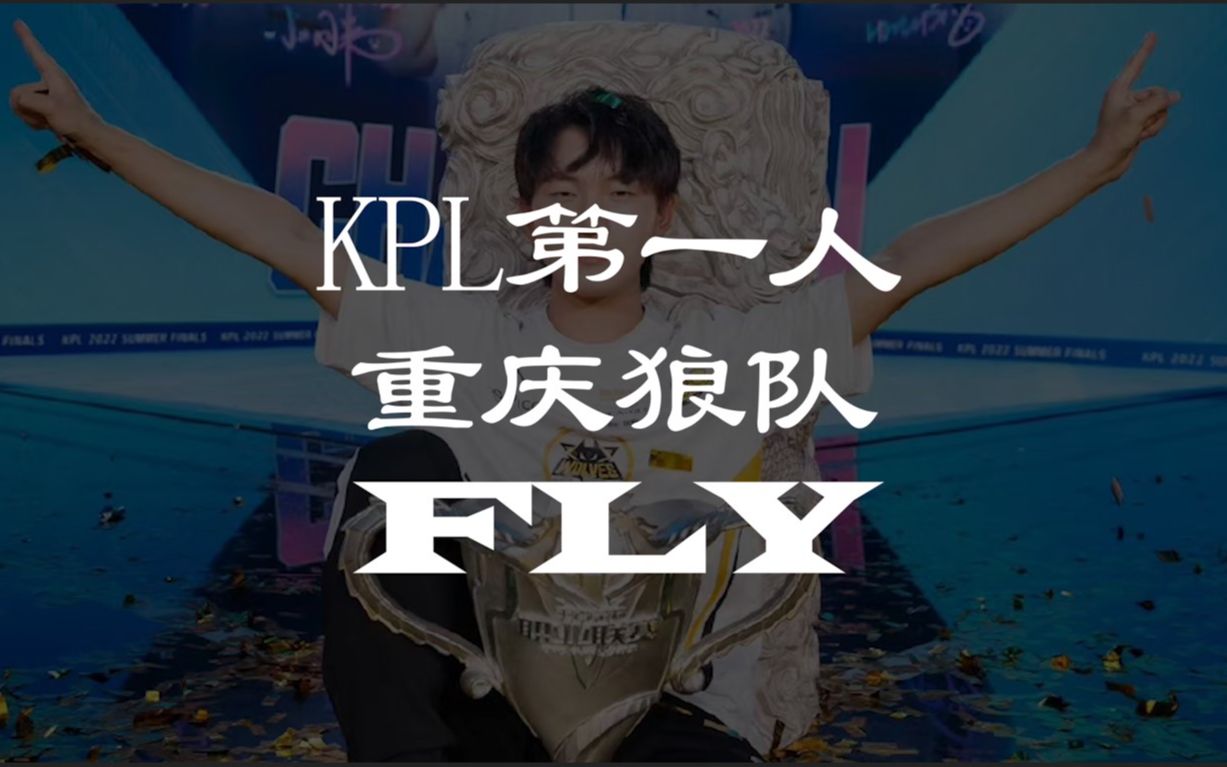 【KPL】现在，站在你面前的是···，fly荣誉大盘点！_哔哩哔哩bilibili