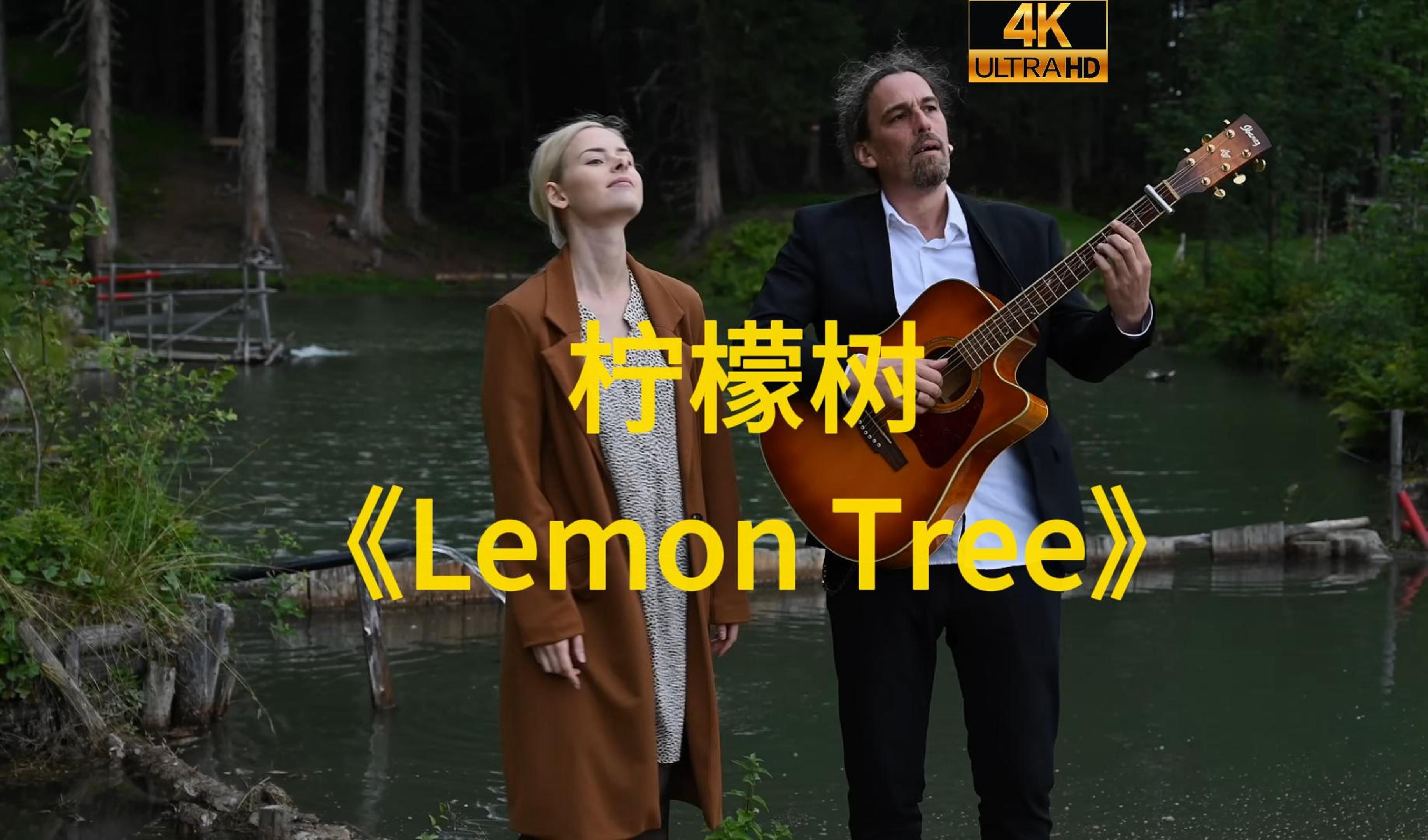 【4K60FPS】英文经典《柠檬树 Lemon Tree》 (Lorena Kirchhoffer翻唱)超好听的版本，慵懒随性自然，必听的经典吉他弹唱-花小白2020-音乐-哔哩哔哩视频