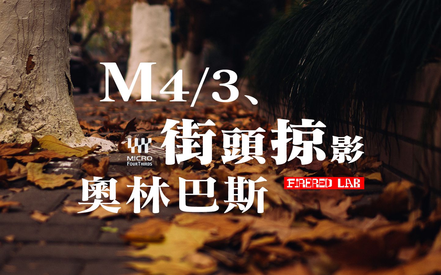 【m43街拍】浮光的街头掠影_m43街头摄影扫街_奥林巴斯E-M1 E-M10 松下GX9 奥之心_哔哩哔哩_bilibili