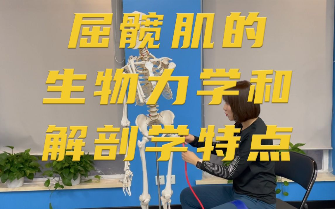 YBT 系列视频 | Y 平衡测试的设计原理