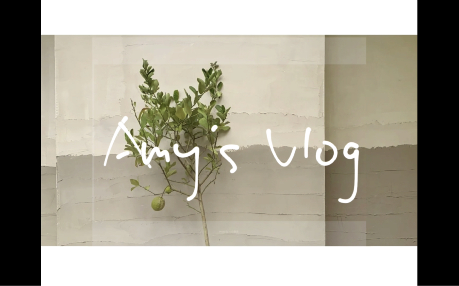 Amy‘s Vlog #1_哔哩哔哩_bilibili