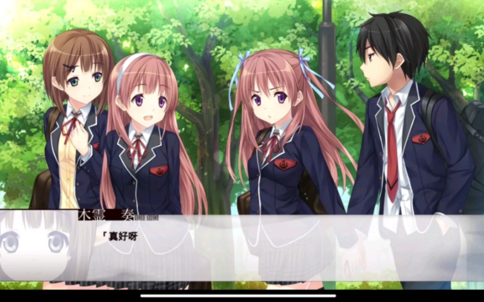 (gal)krkr+PC 糖调！-sugarfull temperpv