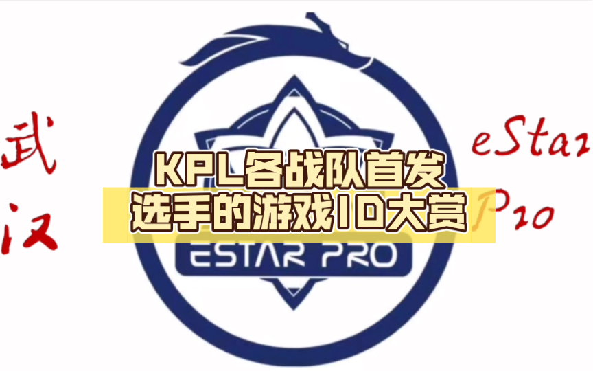 KPL各战队首发选手的游戏ID大赏_哔哩哔哩bilibili_王者荣耀
