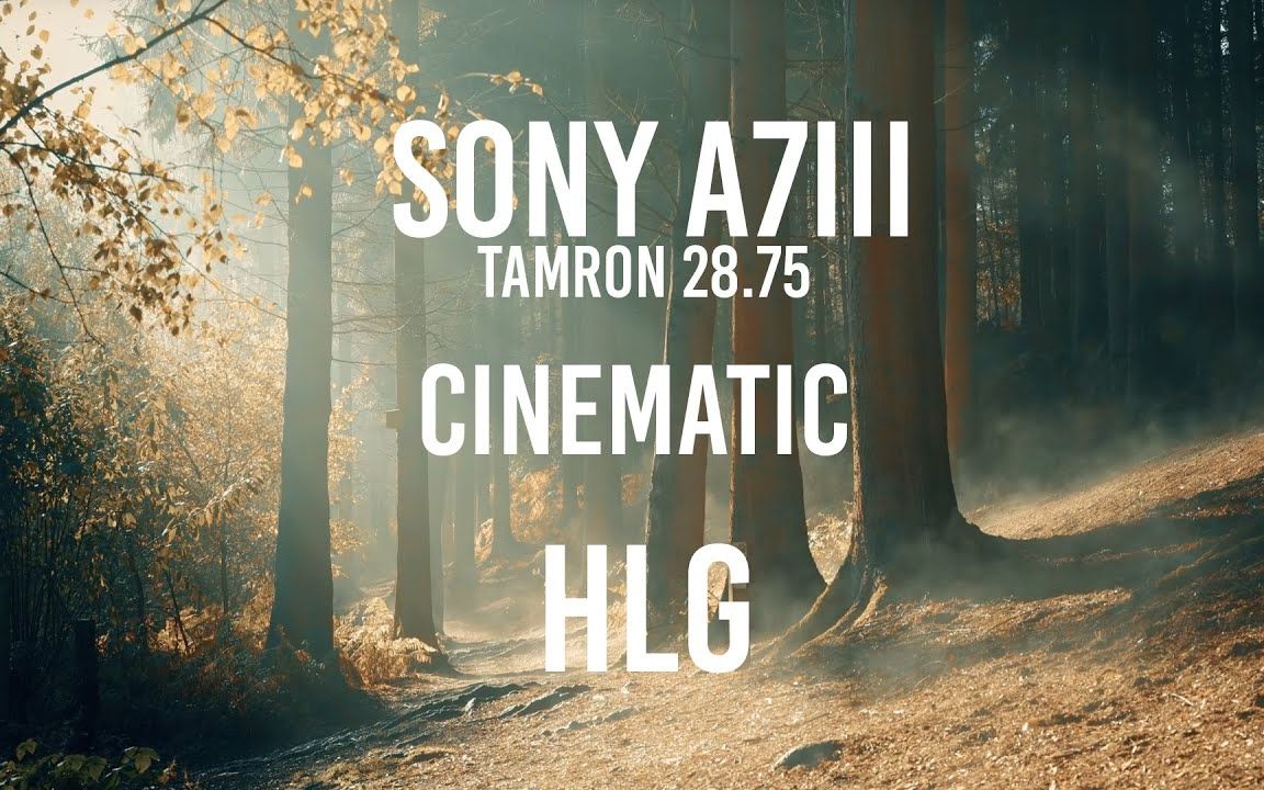 【4K 仙境短片】 索尼A7M3 腾龙28-75 2.8 HLG3_哔哩哔哩_bilibili