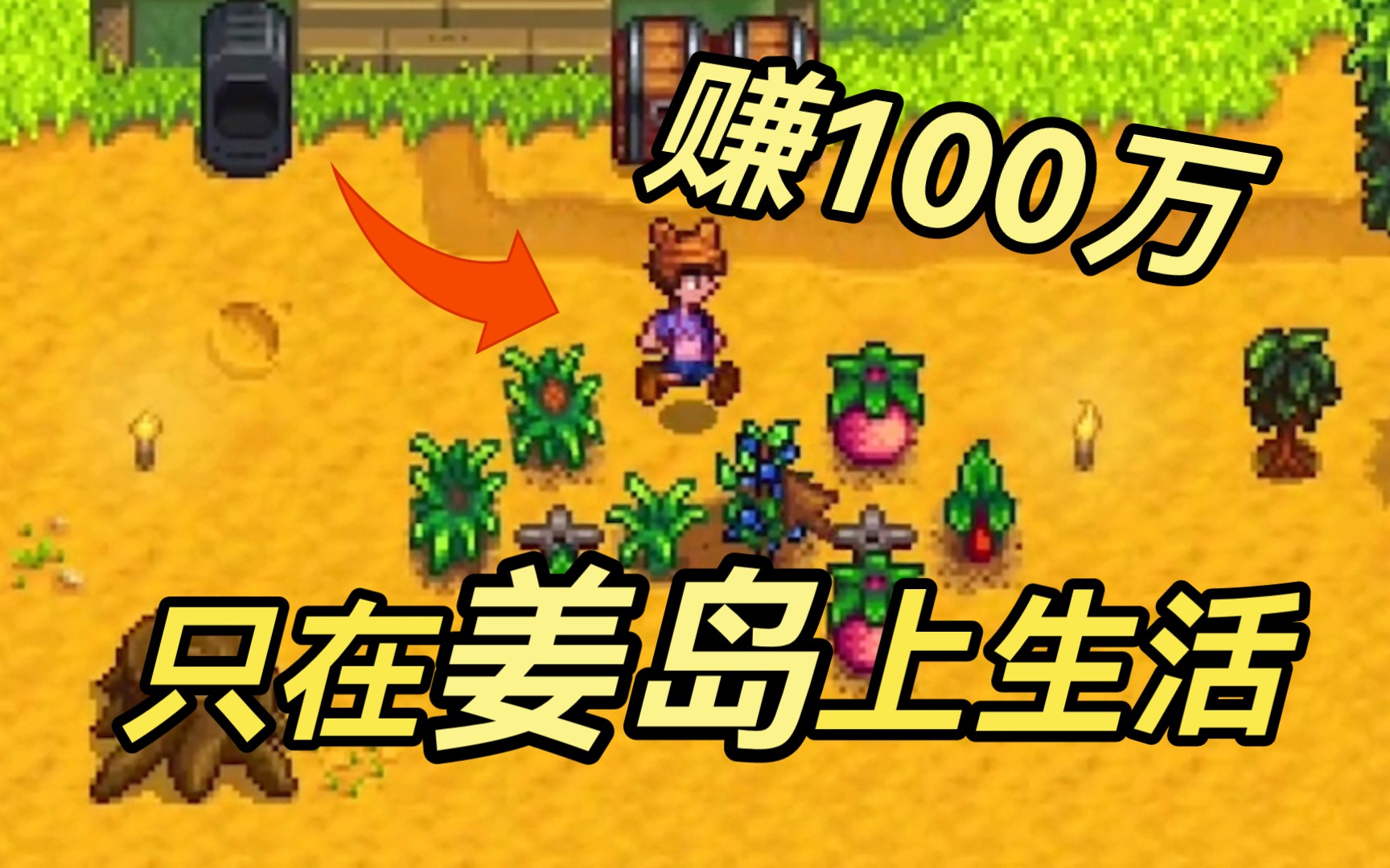 开局在姜岛如何赚到100万？成功解锁了姜岛特快！完成了姜岛青蛙的任务... | 星露谷物语#2-小闲鱼0v0-小闲鱼0v0-哔哩哔哩视频