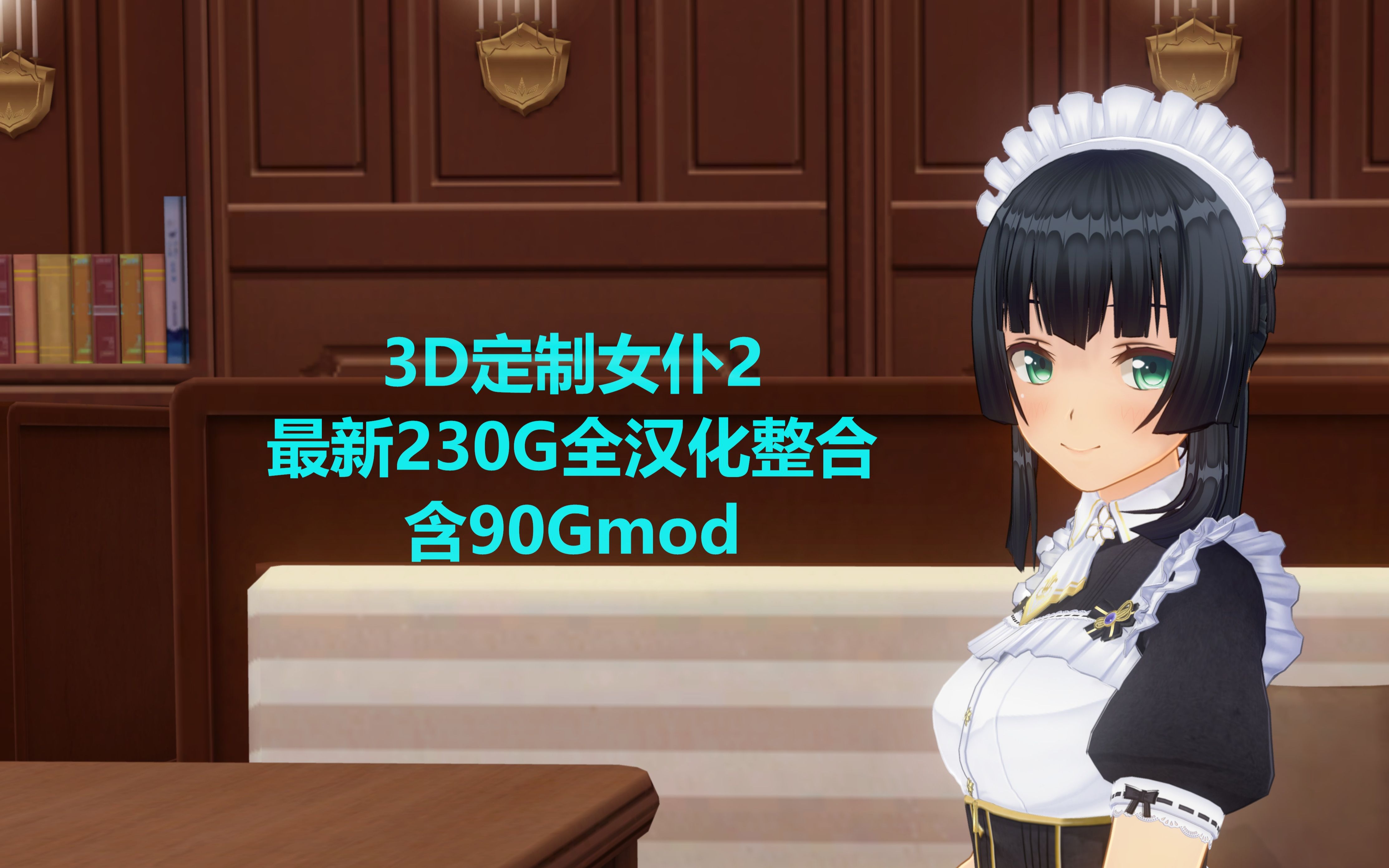 【整合】最新300G精翻汉化整合 3D定制女仆2/com3d2+P档