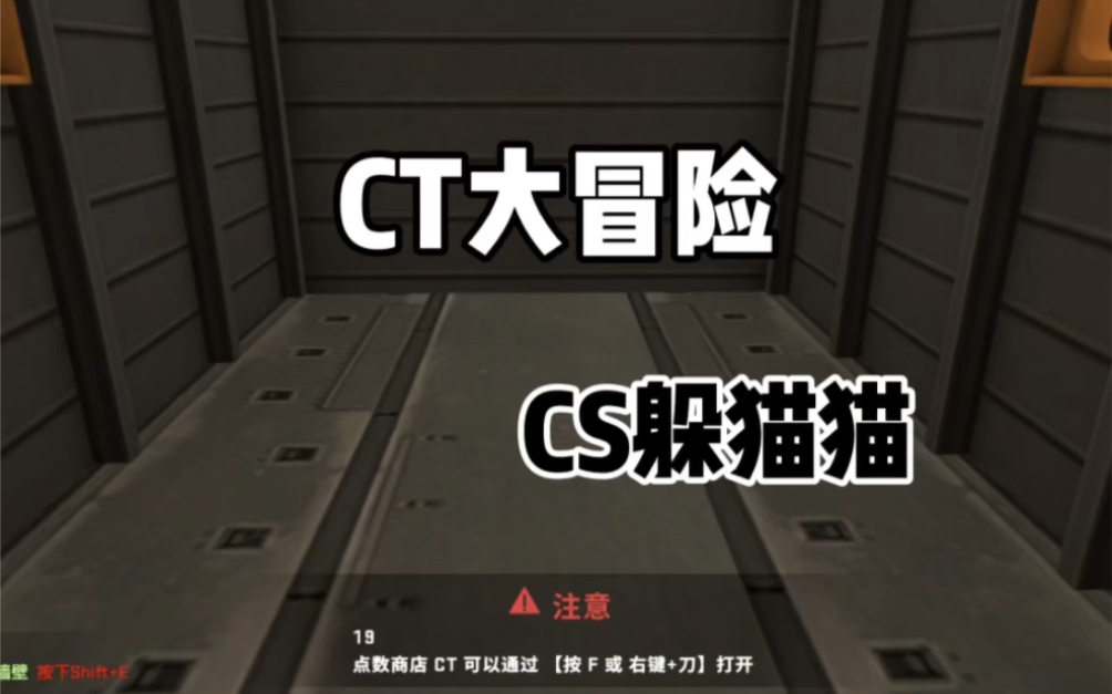 CSGO躲猫猫：CT大冒险-禹辰OvO-禹辰OvO-哔哩哔哩视频