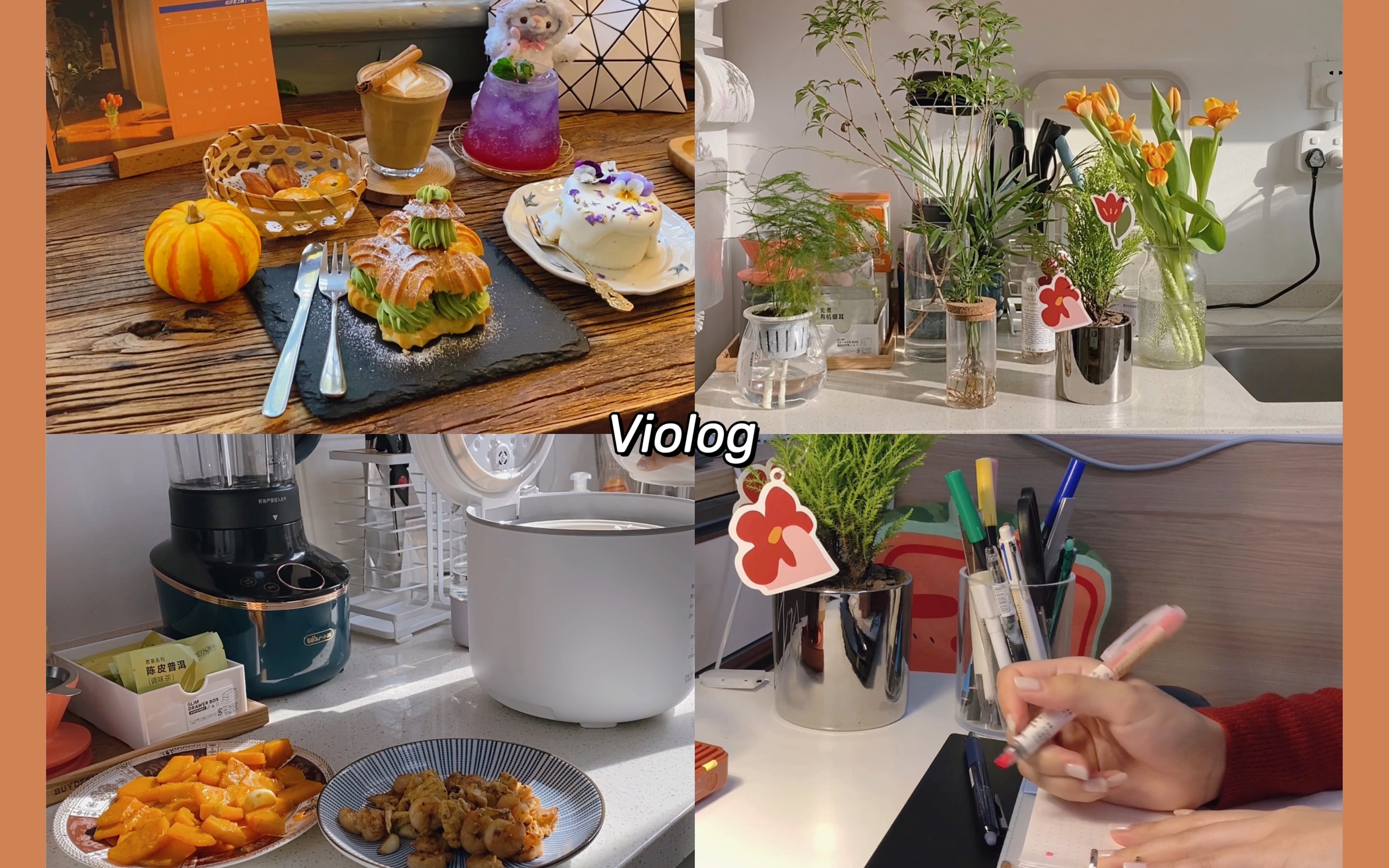 Violet Vlog｜即将27岁啦｜养花和在家办公/做饭和柿子拿铁/日历上新-Violog-Violog-哔哩哔哩视频