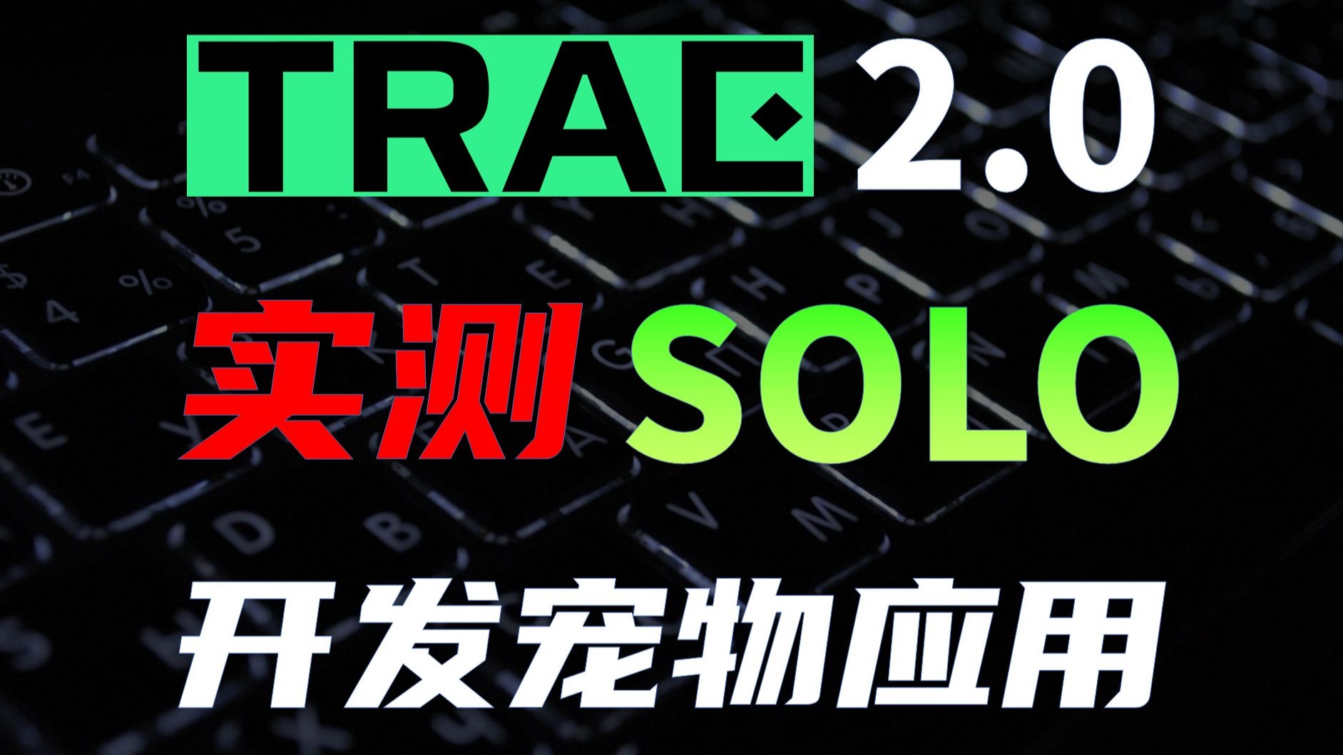 TRAE 2.0来啦！开发宠物店应用，SOLO一下就够了-技术爬爬虾-技术爬爬虾-哔哩哔哩视频