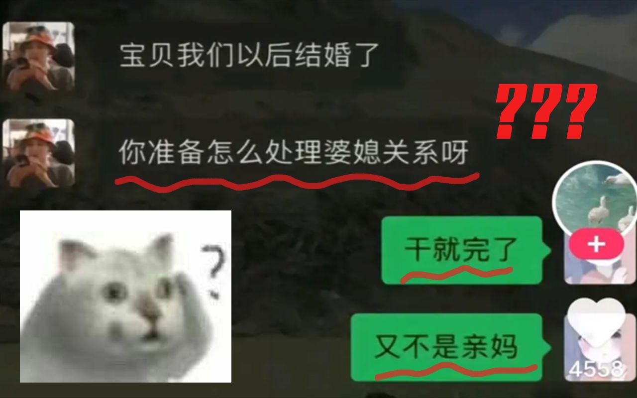 如何处理婆媳关系？干就完了，又不是亲妈？ 不帅气的william 不帅气的william 哔哩哔哩视频