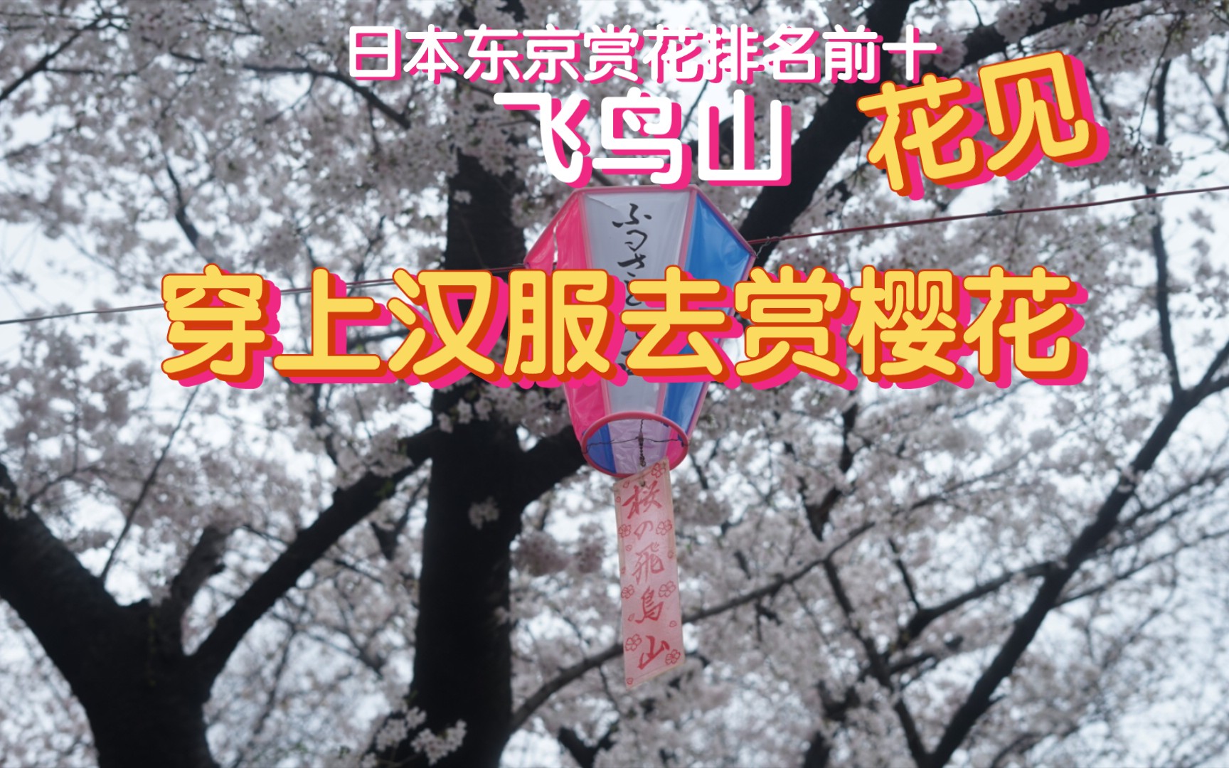【兰酱的留学日记】穿汉服去看樱花啦!日本东京排名前十赏樱花景点:飞鸟山公园|男朋友语言学校毕业啦!|小学生春天的郊游大会|王子站的地面小电车